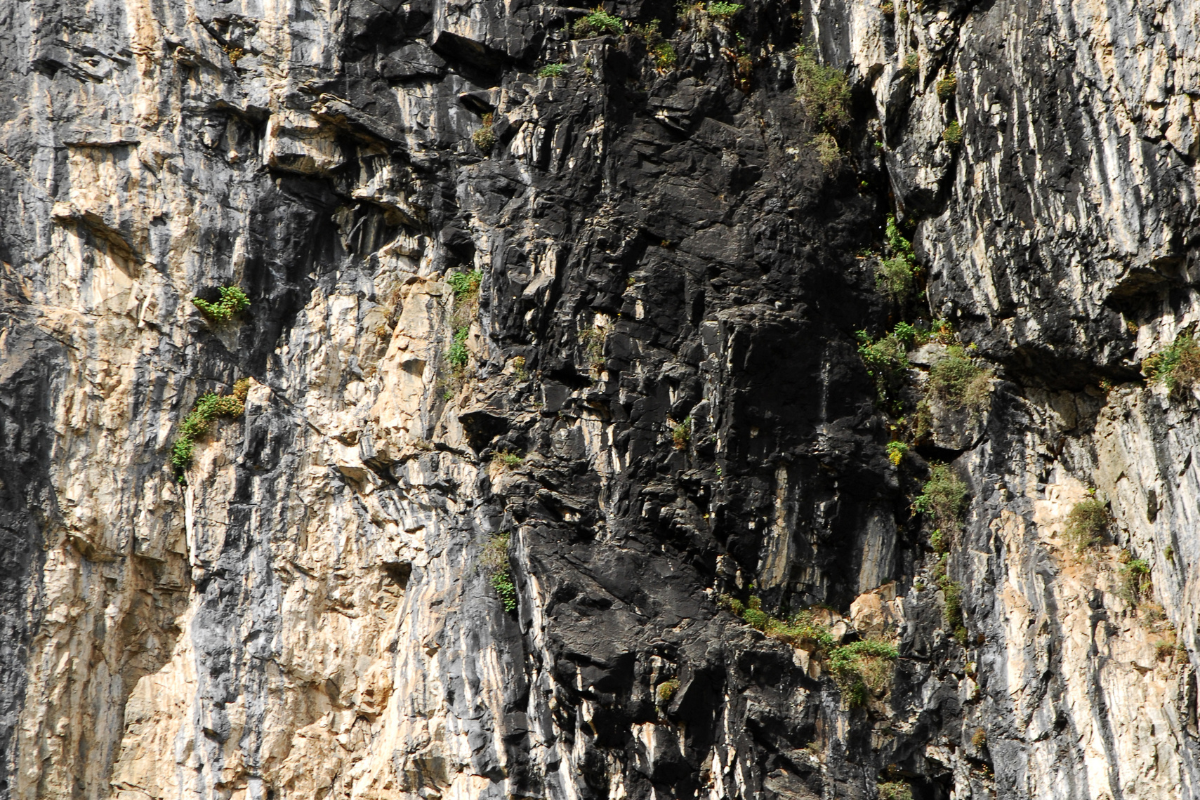 Introduction to Shilajit: The Mineral Pitch of the Himalayas – Herb to ...
